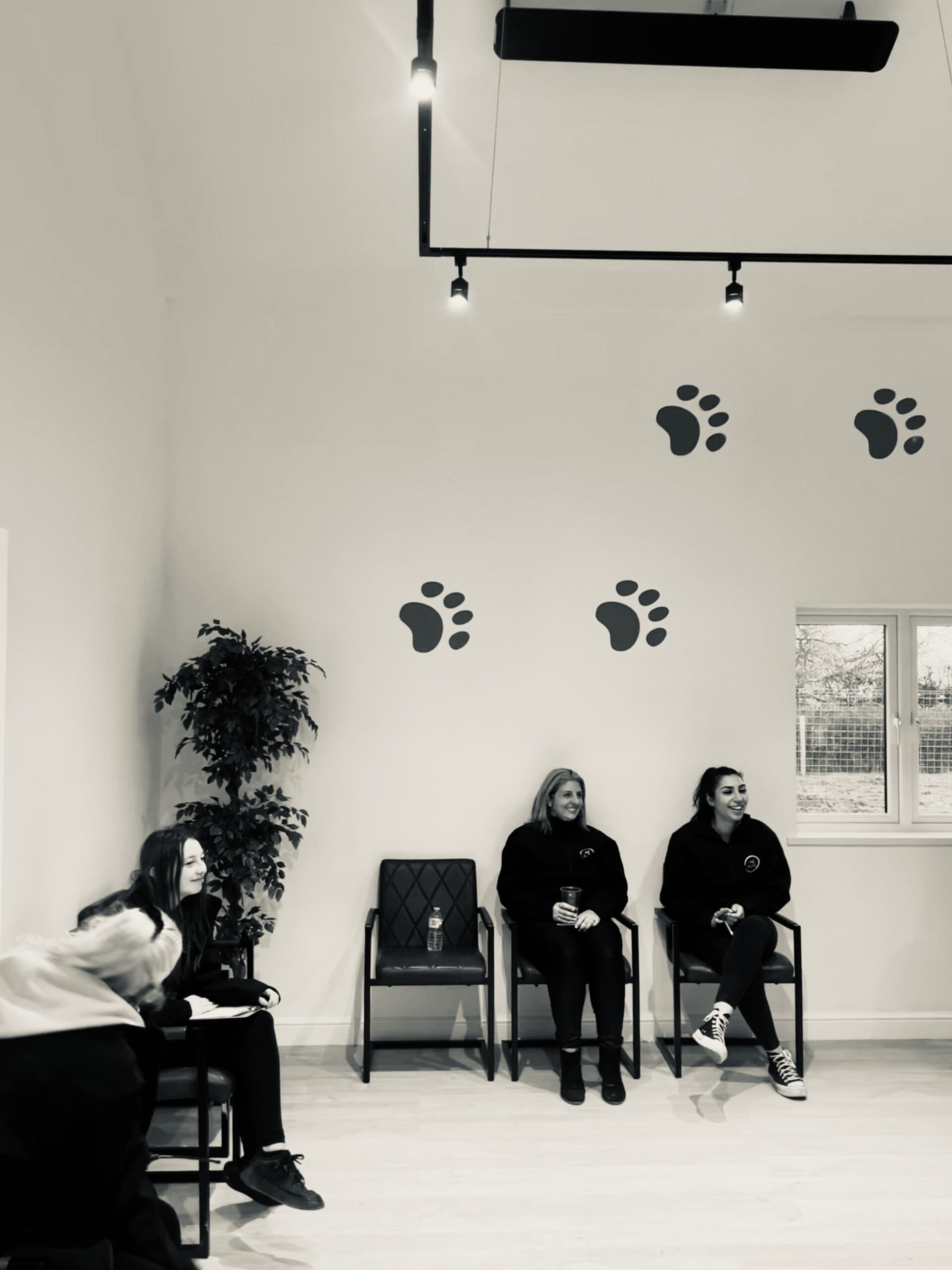 First Class Boarding at Wags and Whiskers Hotel and Spa - LED Architects